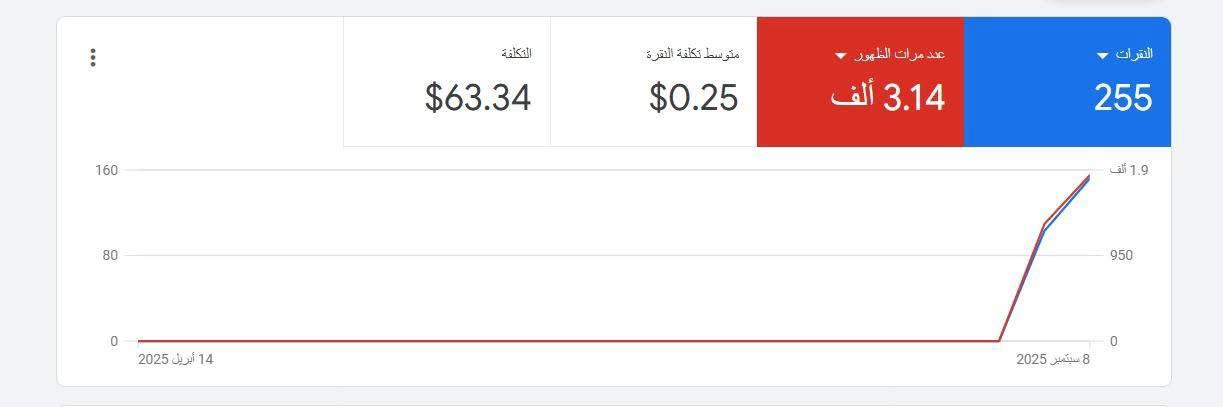 255 Conversions at $0.25 CPC: 3.14% Conversion Rate Google Ads